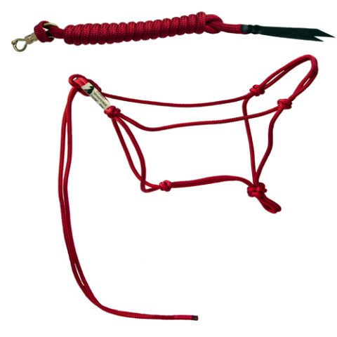 Donkey Halter Standard Combo - Donkey Whisperer Farm
