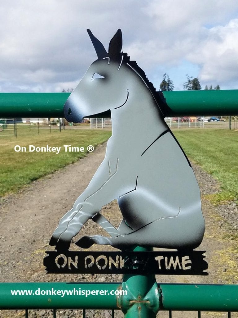 On Donkey Time ® Sign | Donkey Whisperer Farm