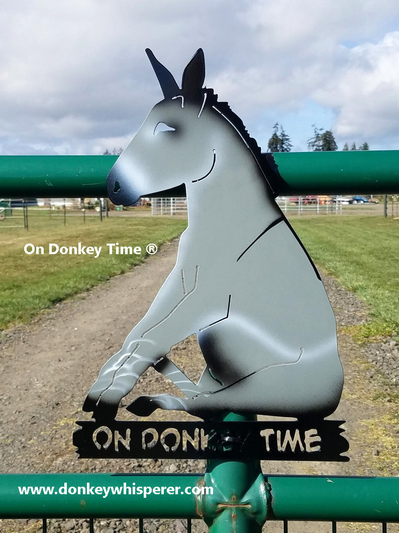 On Donkey Time ® Sign | Donkey Whisperer Farm